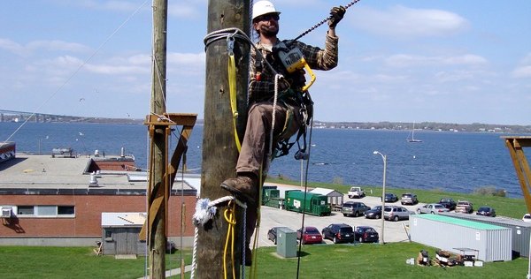 What to Do for Your Challenge Course, Zip Line, or Aerial Adventure ...